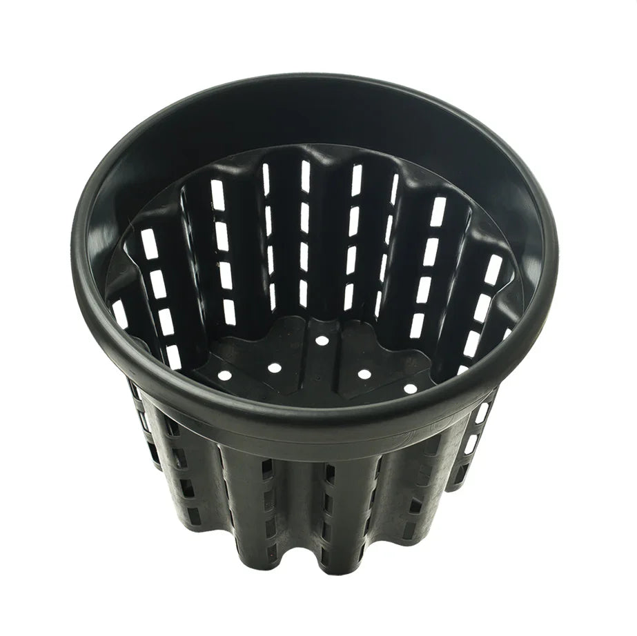 Air Pots – Riverside Aquatics
